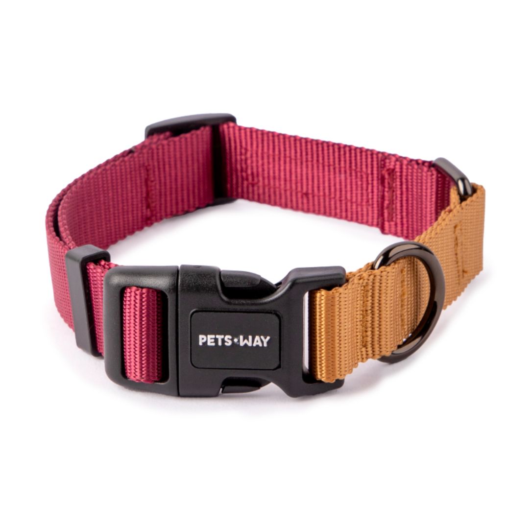 Wine & Honey Dual Color Dog Collar – Stylish & Durable.